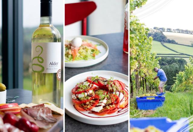 Devon's best vineyards and wineries